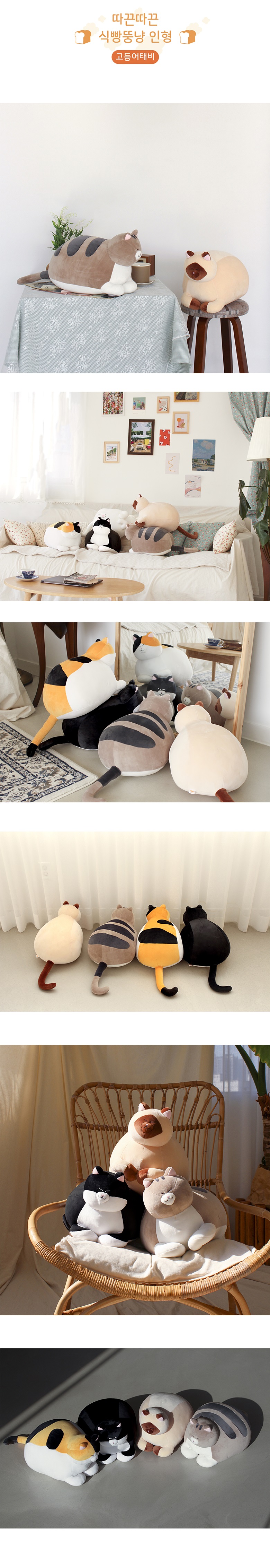 POOM | [식빵뚱냥] 고양이 인형 (4 TYPES)