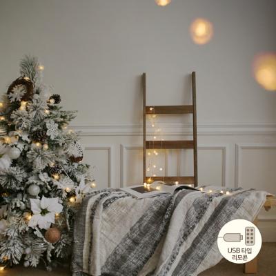 POOM | 프리미엄 LED 투명앵두전구 (리모컨/8패턴/USB) [2type]