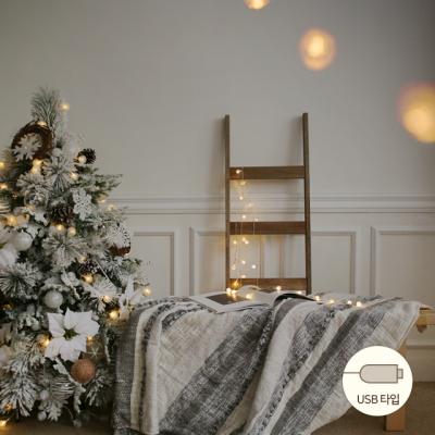 POOM | LED 3M 투명앵두usb전구 (8패턴점멸)