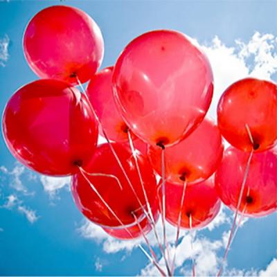 POOM | 30cm 크리스마스 펄레드 (10입)