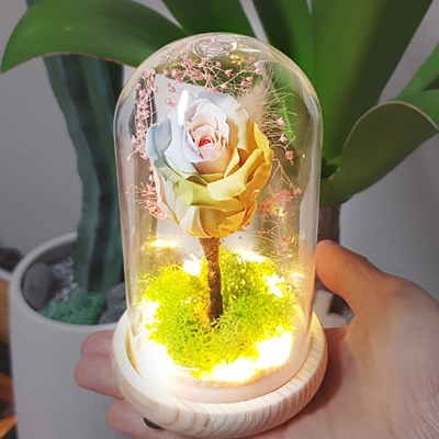 POOM | LED 유리돔 레인보우 로즈 무드등 - 프리저브드 드라이플라워