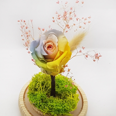 POOM | LED 유리돔 레인보우 로즈 무드등 - 프리저브드 드라이플라워