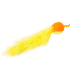 POOM | 아트박스 CAT & DOG