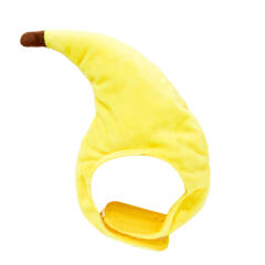 POOM | 아트박스 CAT & DOG