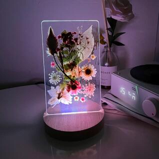 POOM | LED 압화 무드등 만들기 (1인용, 4종 택 1)