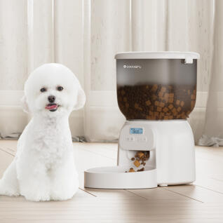 POOM | 타이머 자동급식기 4L C4BPF 강아지 고양이