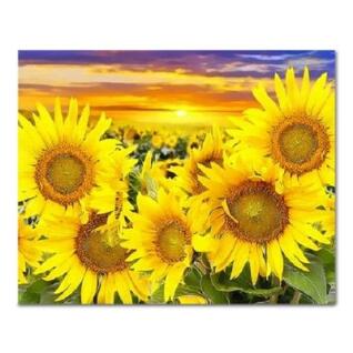 POOM | DIY 페인팅 썬플라워팜 PL31 (40x50)