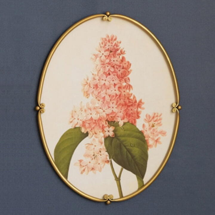 POOM | 오벌 보타니컬 액자 2 types