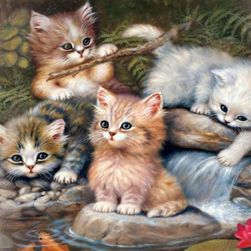 POOM | 고양이 해바라기 보석 십자수 패브릭형 비즈자수