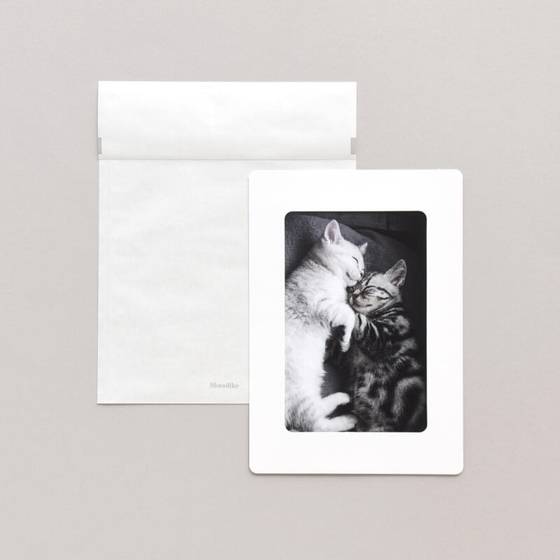 POOM | 반투명 종이봉투 M 100매 - 4x6 종이액자용