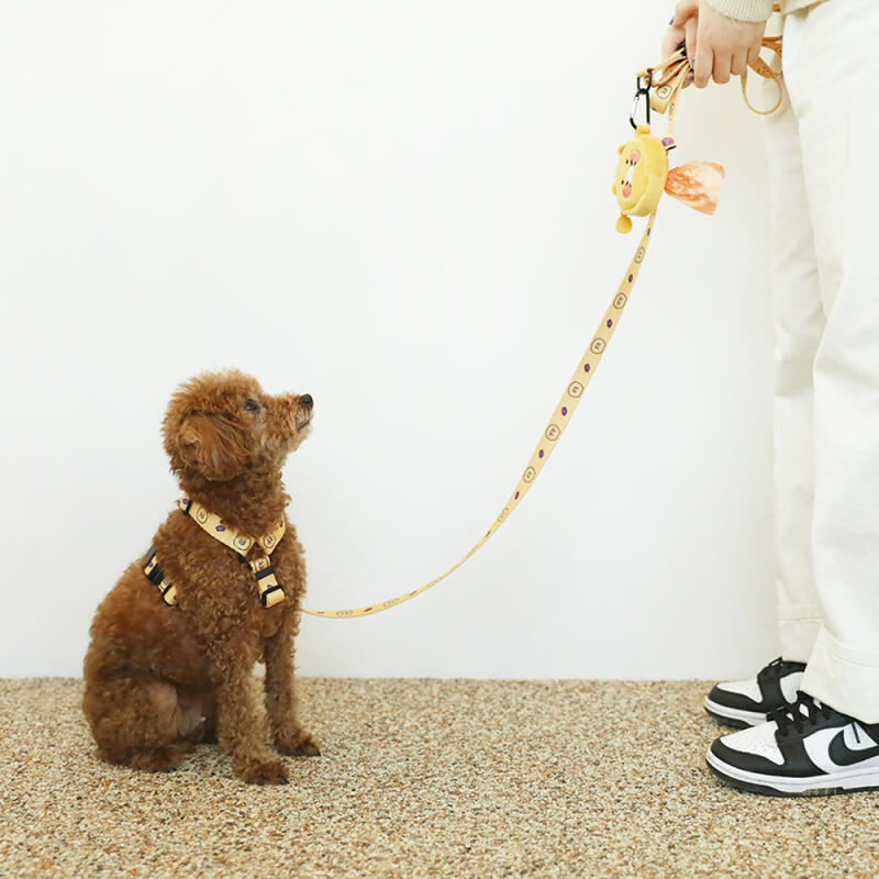 POOM | 카카오프렌즈 춘식이 반려동물 리드줄 2M 산책용품