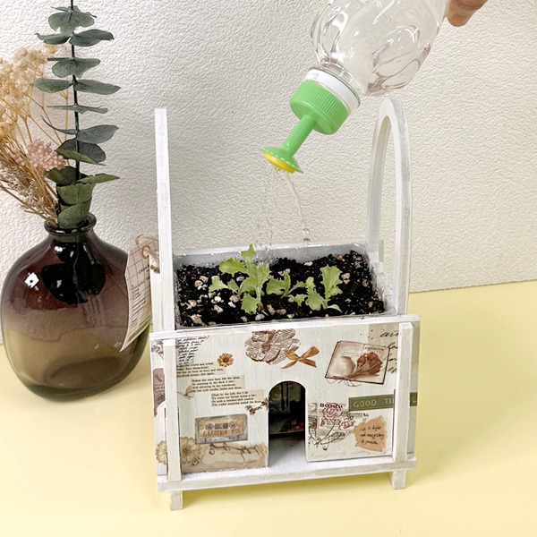 POOM | DIY 우드 화분 씨앗 키트 (1인용, 3종 택 1)