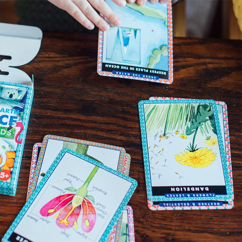 POOM | [공간27] 내추럴 사이언스 영어카드