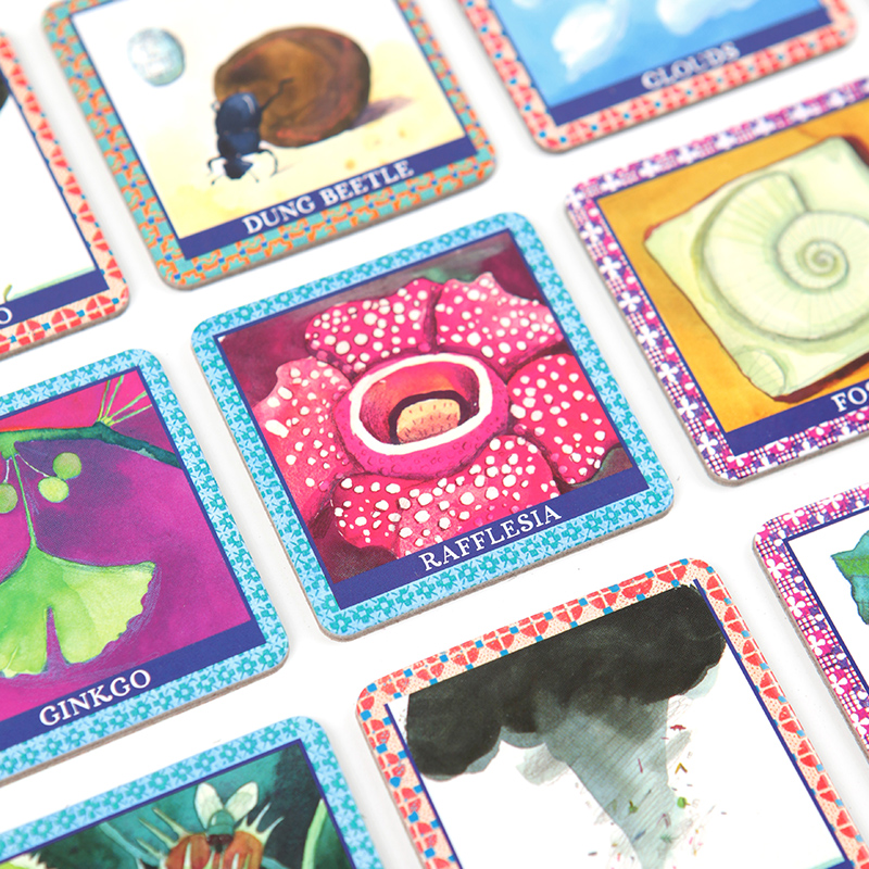 POOM | [공간27] 내추럴 사이언스 메모리게임