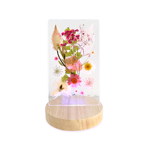 POOM | LED 압화 무드등 만들기 (1인용, 4종 택 1)