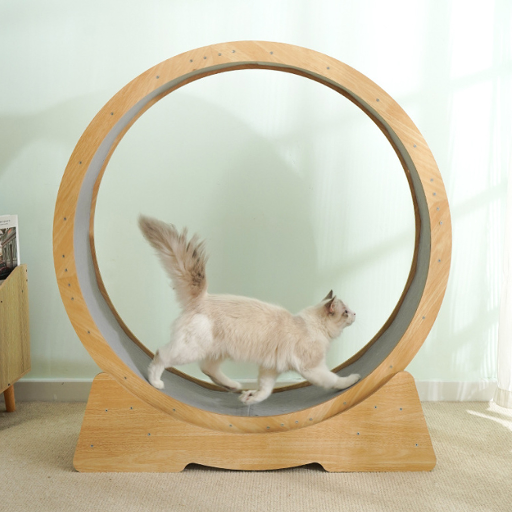 POOM | 저소음 고양이 캣휠 (2SIZE)