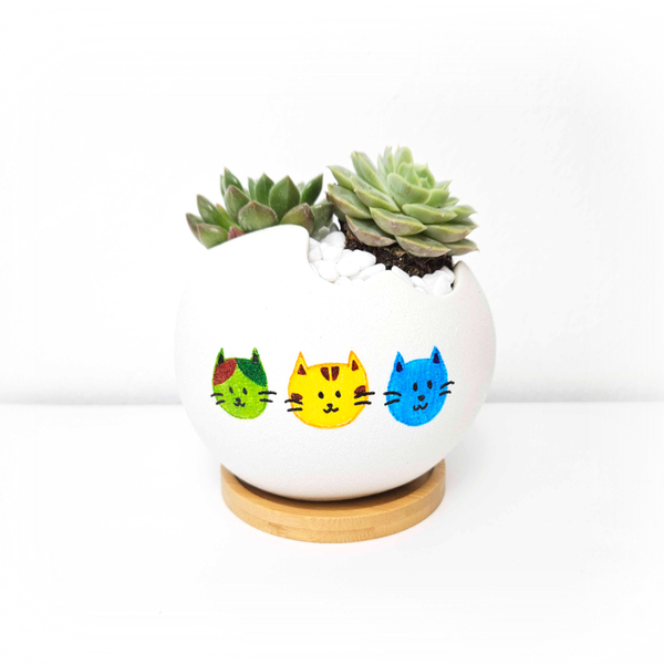 POOM | 달걀모양 다육이 컬러링 화분 DIY키트 다육식물