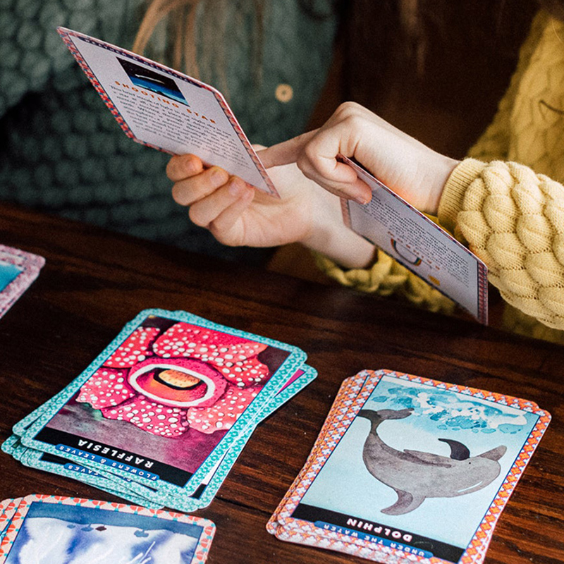 POOM | [공간27] 내추럴 사이언스 영어카드