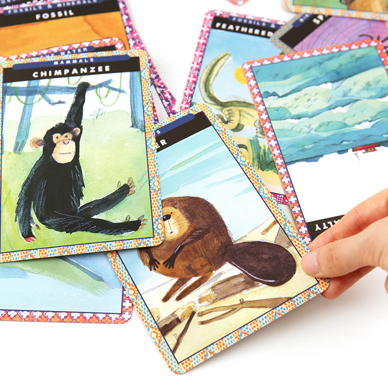 POOM | [공간27] 내추럴 사이언스 영어카드