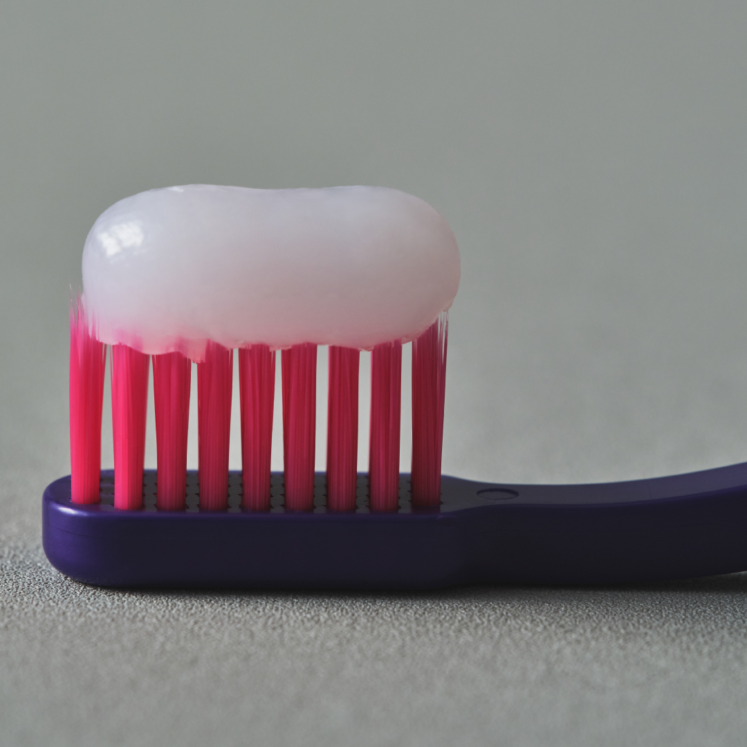 POOM | 코랄리에 PLA 부드러운 초극세모 칫솔 4EA