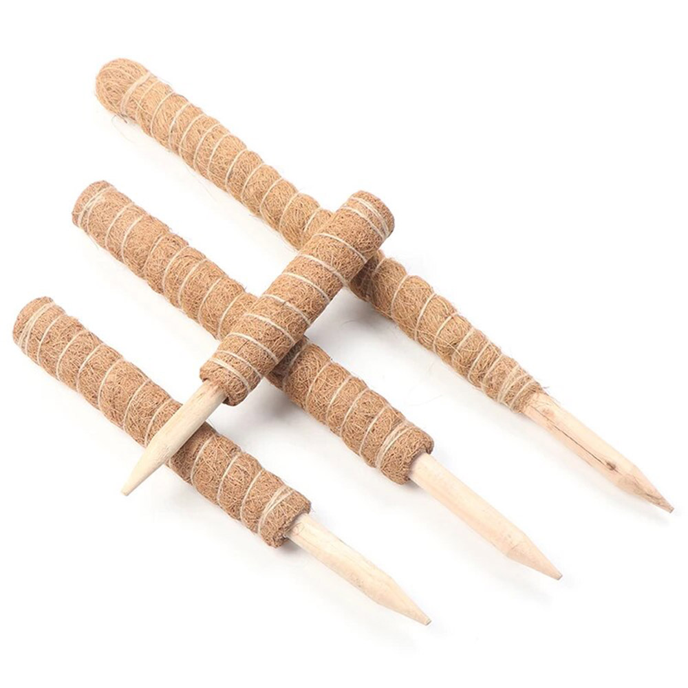 POOM | 코코넛 식물지지대 수태봉/지주봉 30cm