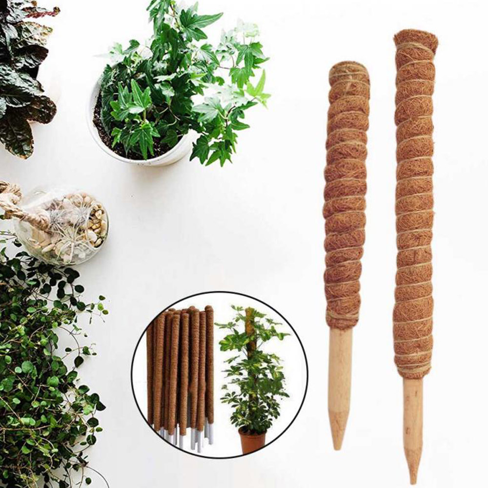 POOM | 코코넛 식물지지대 수태봉/지주봉 30cm