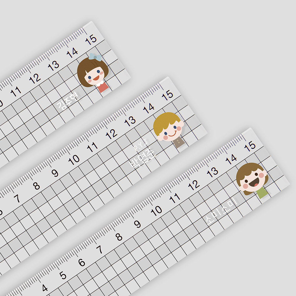 POOM | [주문제작]네임 투명자 15cm앤과폴