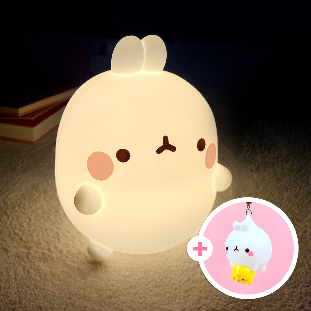POOM | 자이언트 몰랑이 LED 충전식 무드등 + 몰랑이키체인