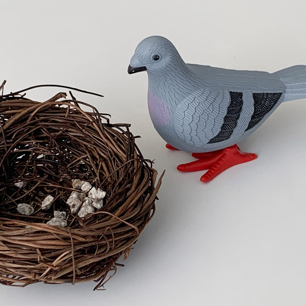 POOM | 움직이는 귀여운동물 애완 반려 비둘기 세트 장난감