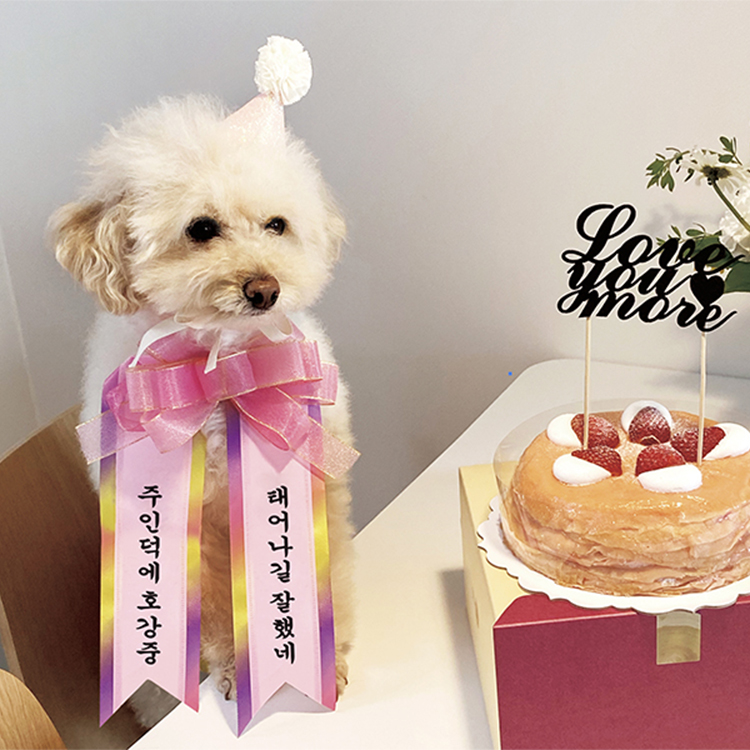 POOM | PET화환 주인덕에 호강중 감사선물 (26025579)