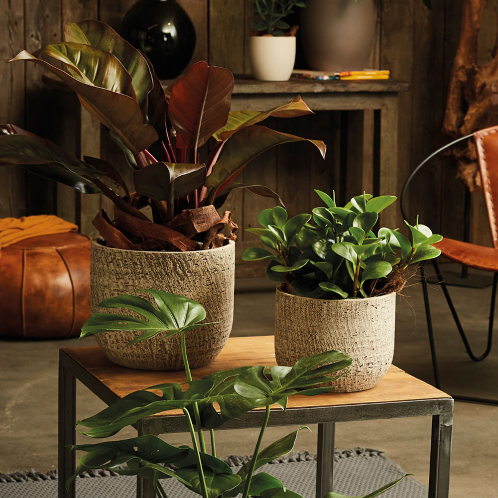 POOM | S.K화분 독일 도자기 화분 포틀랜드25cm