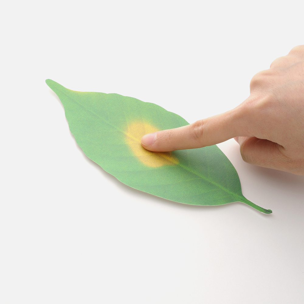 POOM | +d 플러스디 나뭇잎 온도계 (Leaf Thermometer)