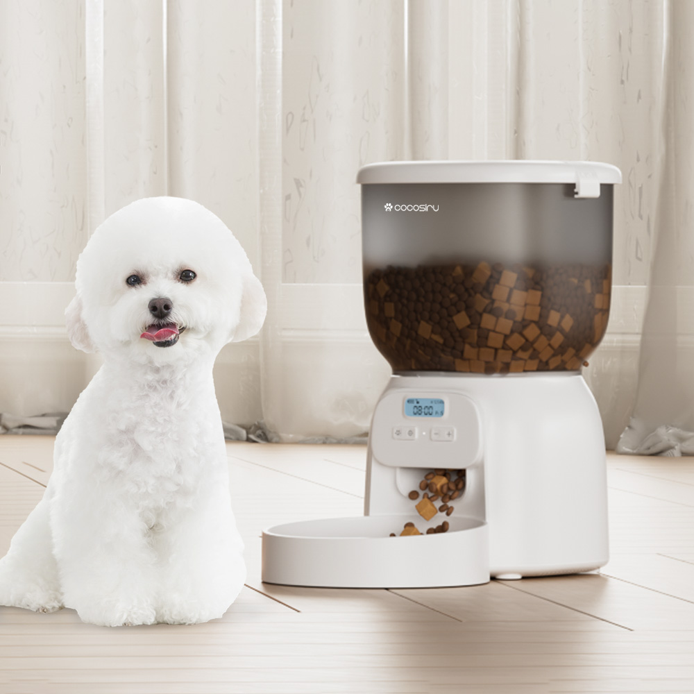 POOM | 타이머 자동급식기 4L C4BPF 강아지 고양이