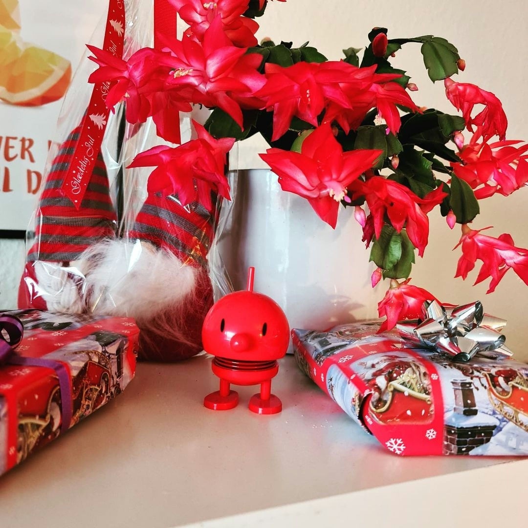 POOM | [홉티미스트] 클래식 범블 특가 모음 (2 sizes)