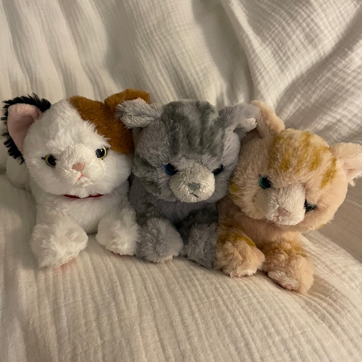 POOM | [선레몬]무릎인형 아기 고양이 인형 SS사이즈 애착