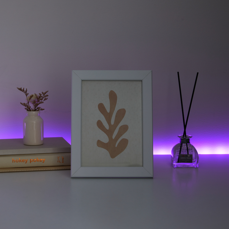 POOM | 레인보우 라인 LED (20011332)