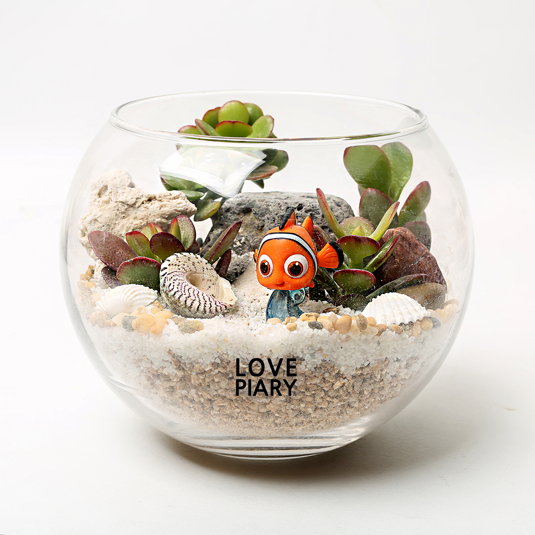 POOM | 바다속 친구들II(M) 테라리움 만들기재료 취미DIY키트